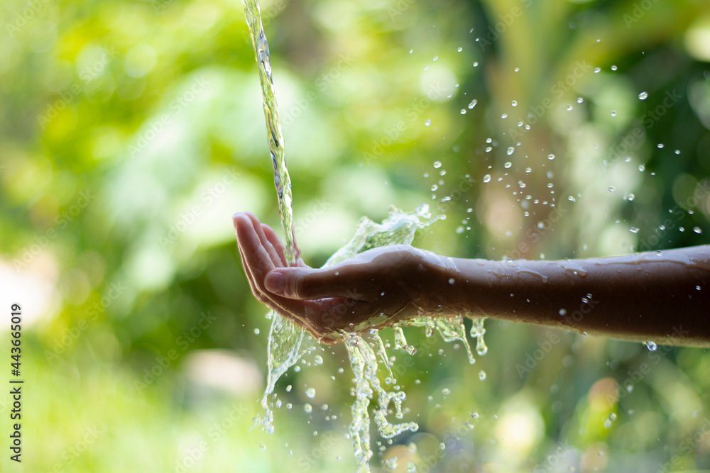 water pouring flow on woman hand on nature background Stock Photo ...