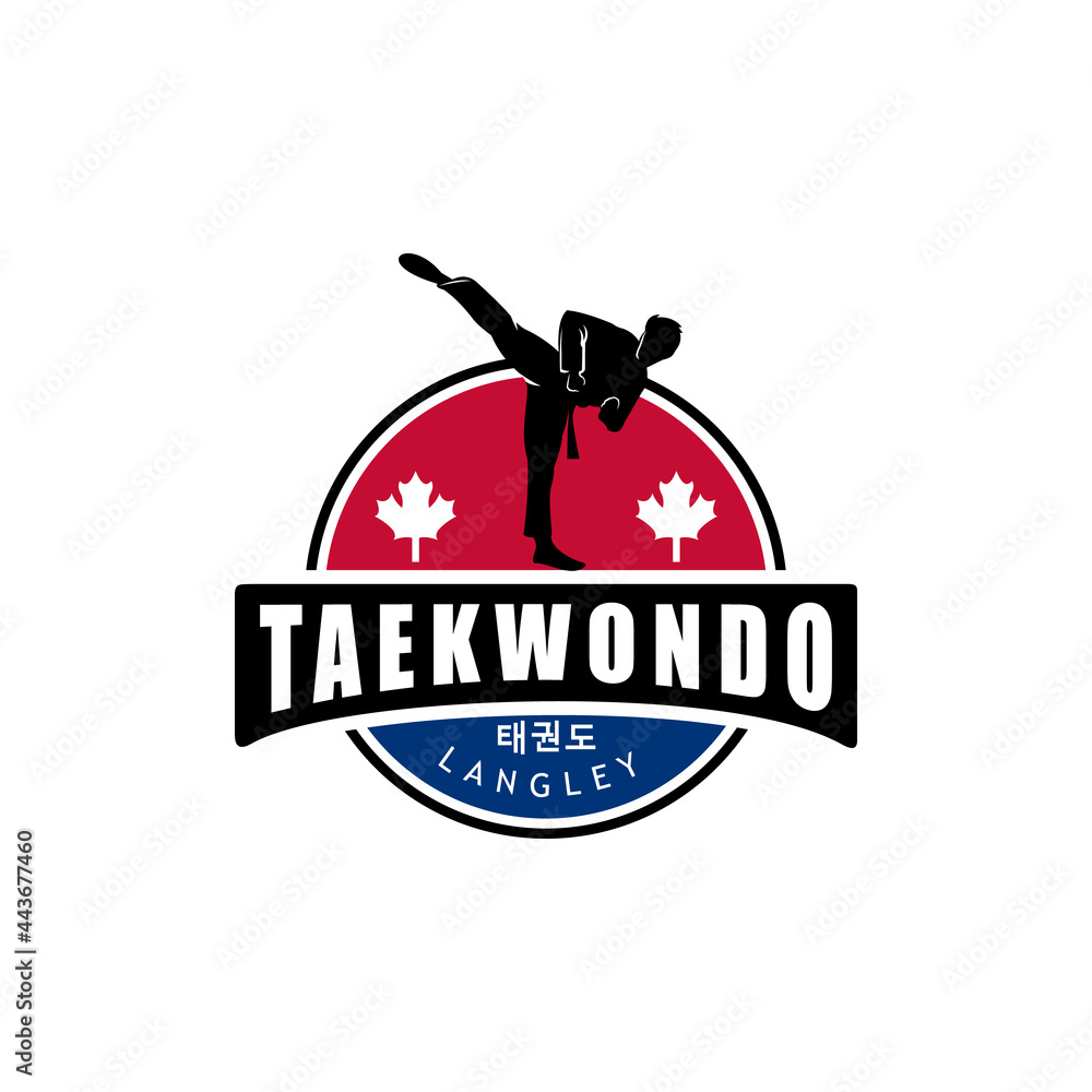 taekwondo sport logo design illustration Stock Vector | Adobe Stock