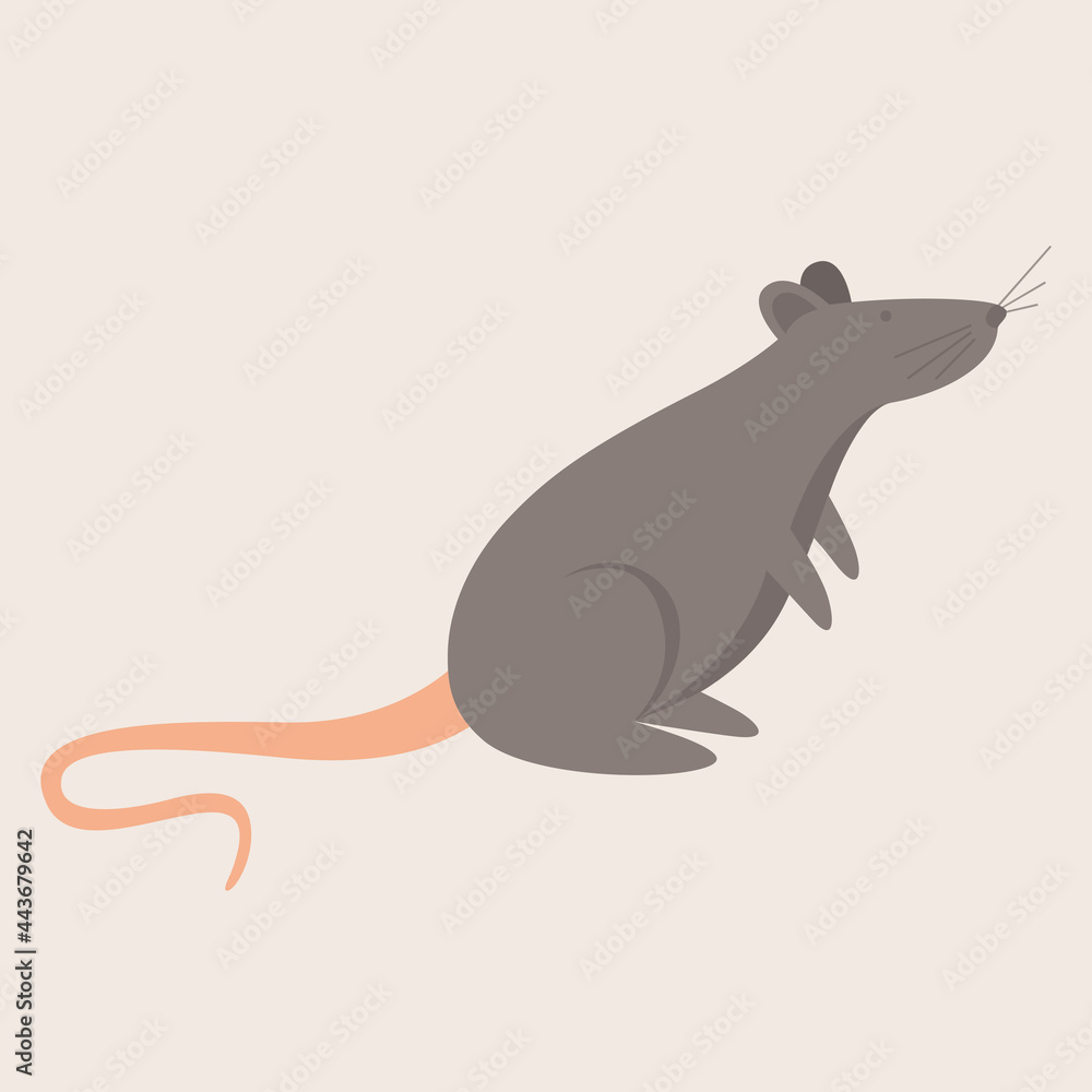 Vector image of a gray rat with a long pink tail. Cute animal. Flat ...