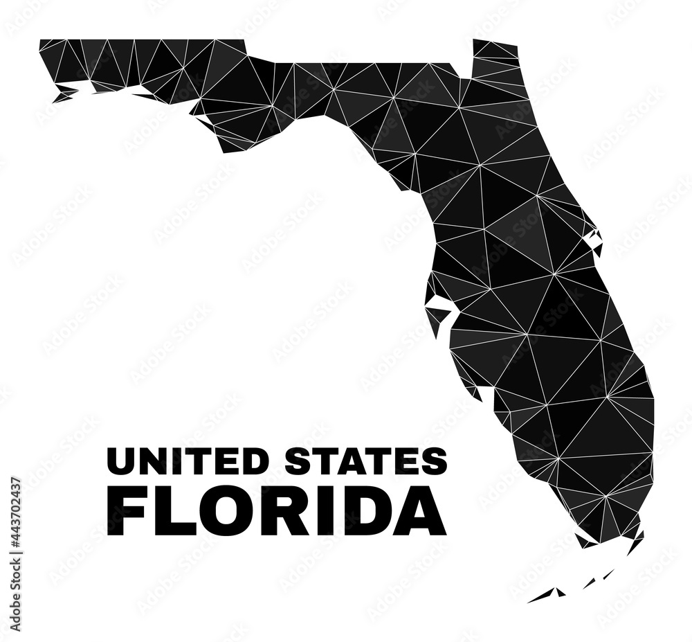 Low-poly Florida State map. Polygonal Florida State map vector combined ...