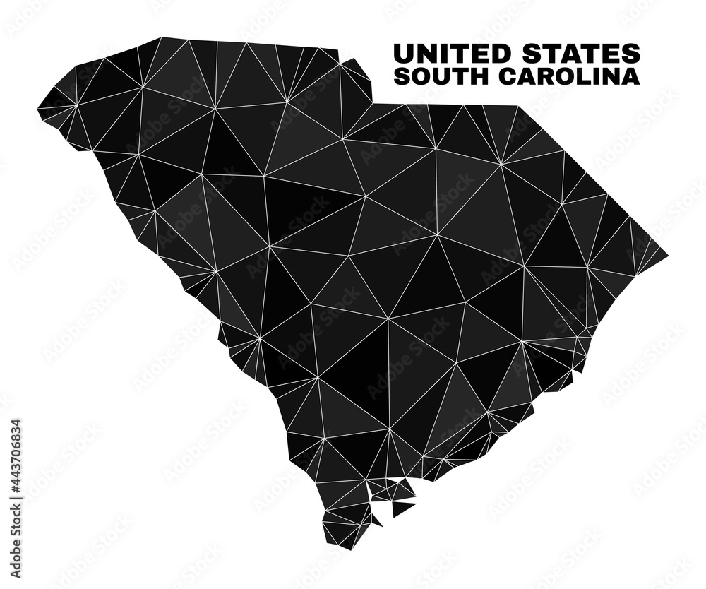 Low-poly South Carolina State map. Polygonal South Carolina State map ...