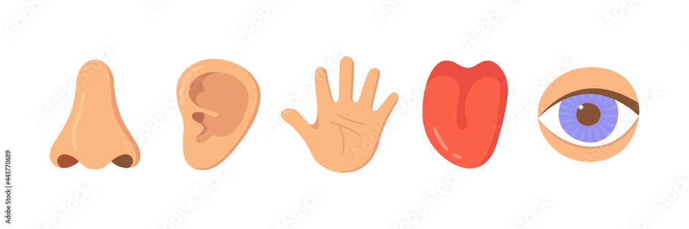 Five human senses organ set. Nose, ear, hand, tongue, eye. Sensory ...