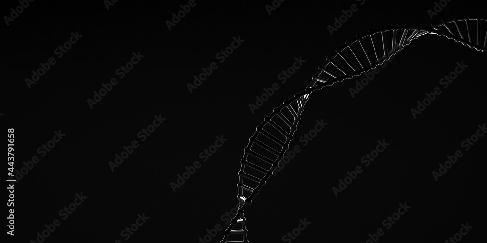 DNA chain on isolated black background. Edge light. Abstract molecule ...