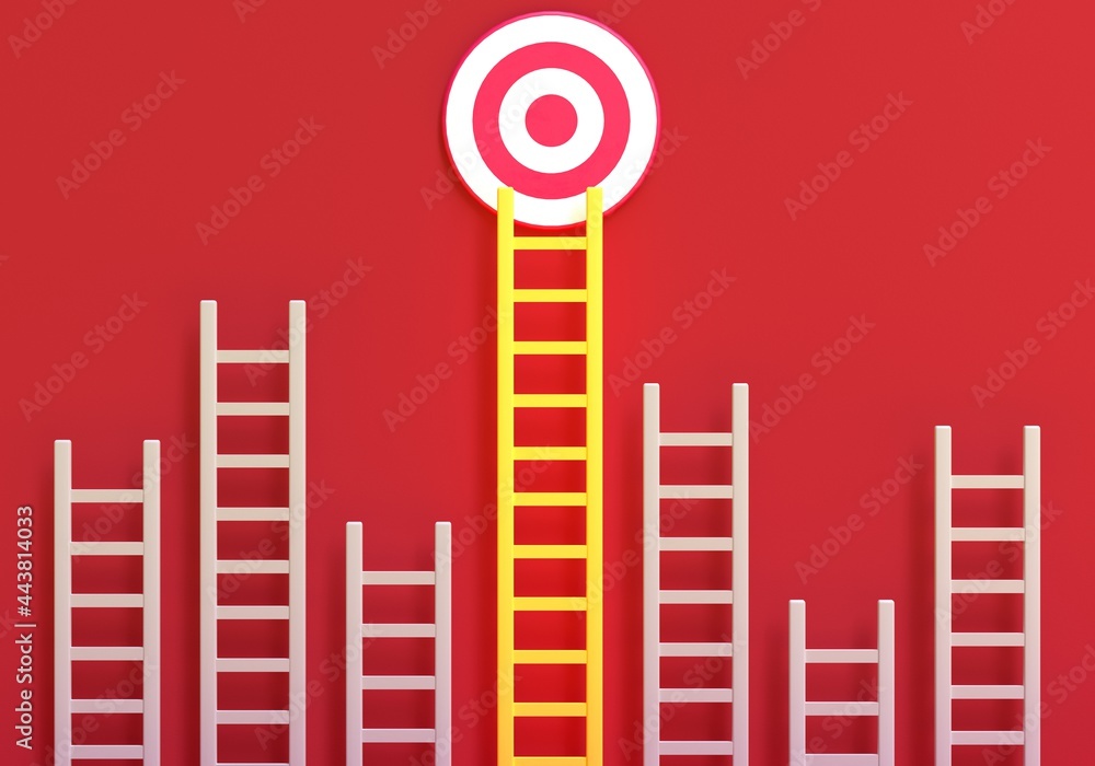 Long ladder to reach the goal.Choose the right path to achieve the goal ...