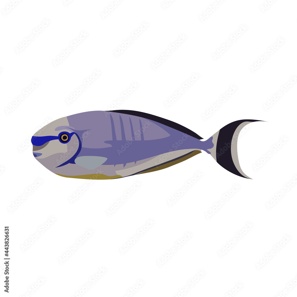 Cartoon illustrations of surgeon fish isolated on white background ...