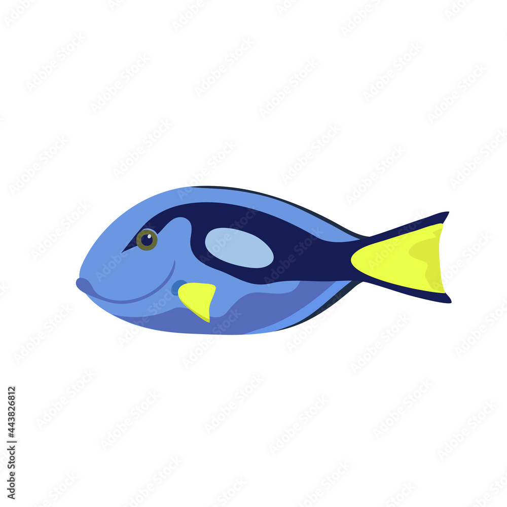 Cartoon illustrations of surgeon fish isolated on white background ...