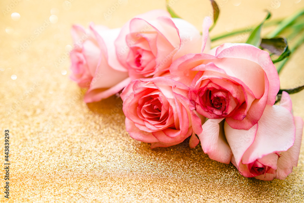 Pink rose on a shiny gold background Stock Photo | Adobe Stock
