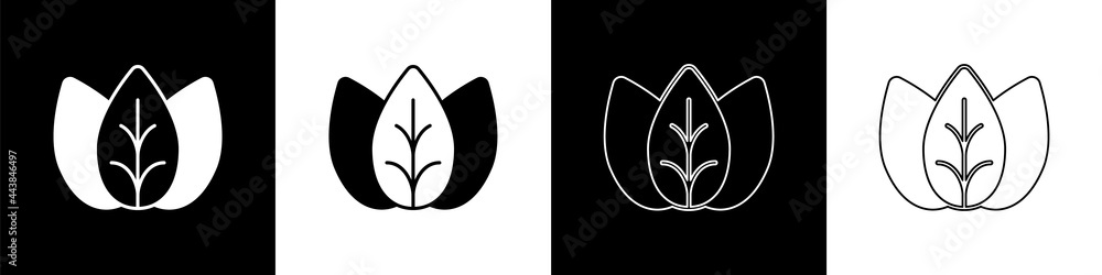 Set Leaf icon isolated Set background. Leaves sign. Fresh natural ...