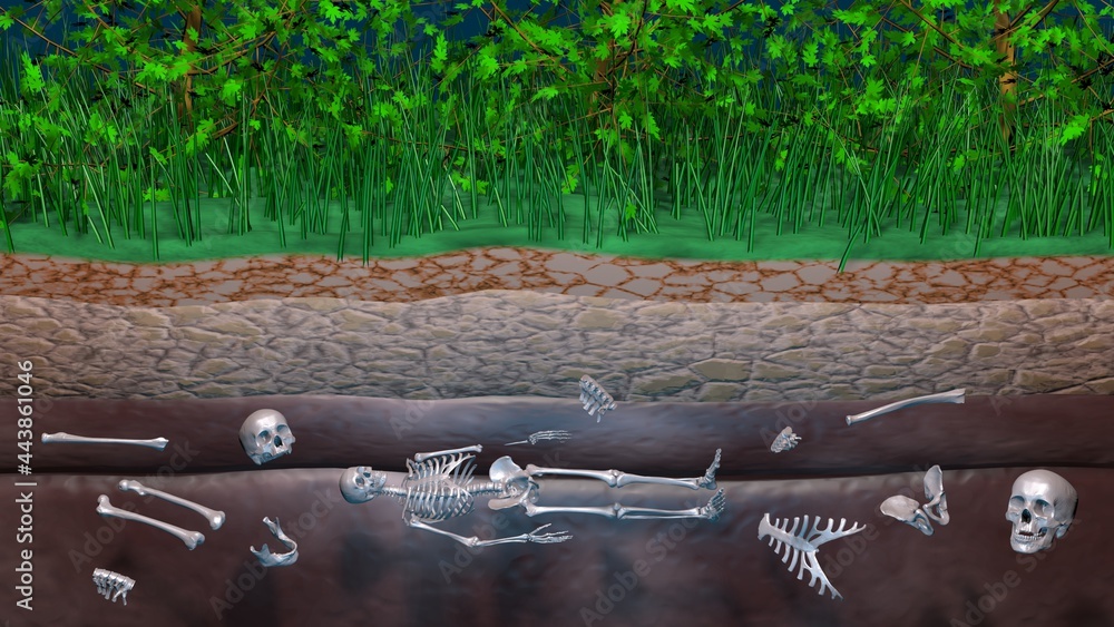 Human skeletal remains underground. Buried murder victim under layers ...