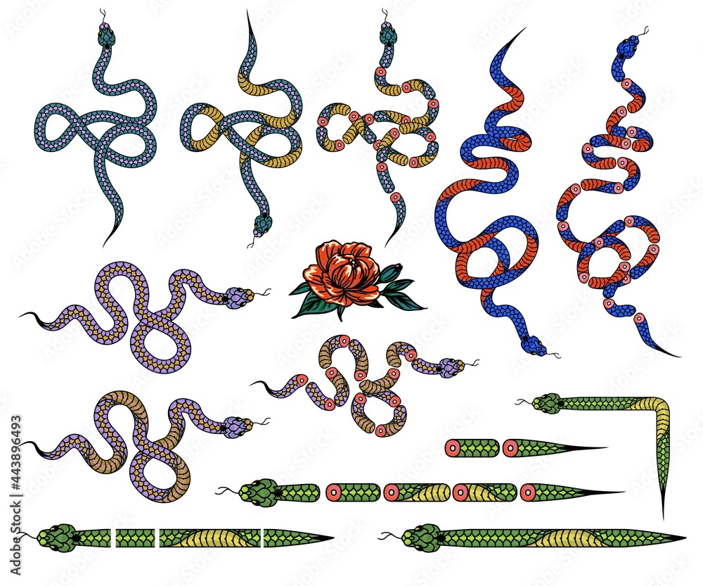 a set of elements for creating a design with a snake, Snakes in ...