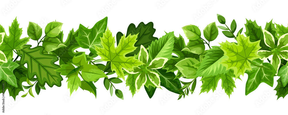 Vector horizontal seamless border with various green leaves on a white ...
