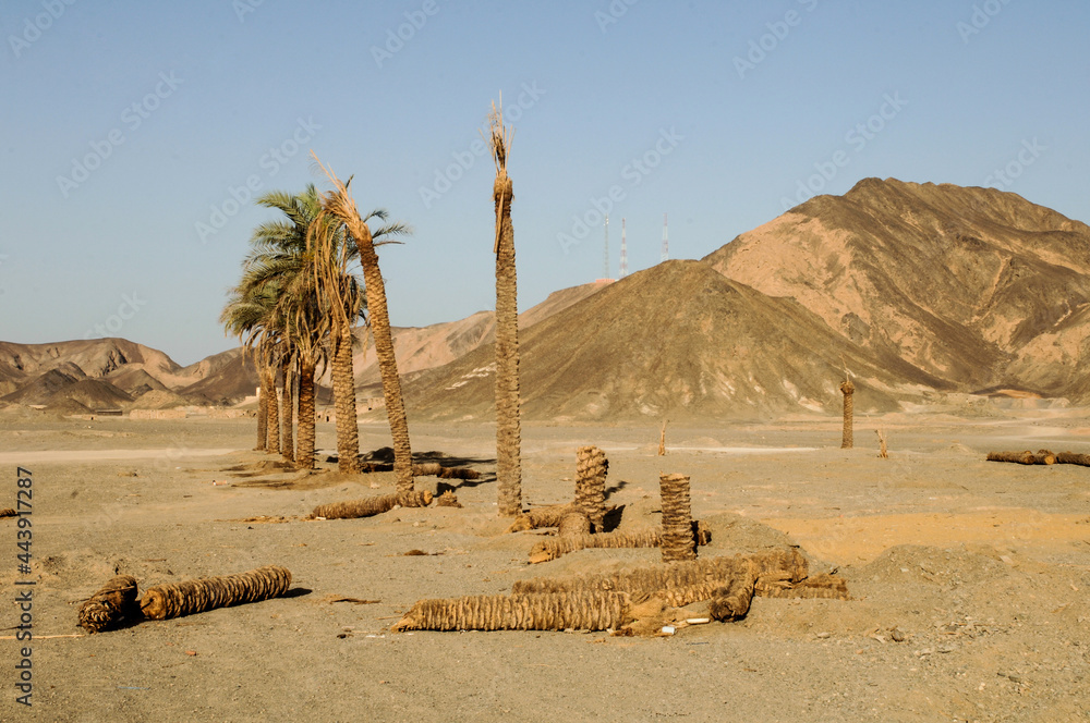 Karnak, Luxor and Valley of the Kings, Red Sea Region The Red Sea coast ...