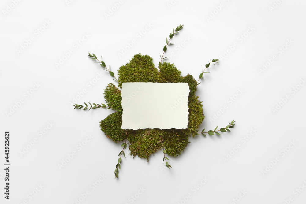 White piece of paper with moss and green leaves Stock Photo | Adobe Stock