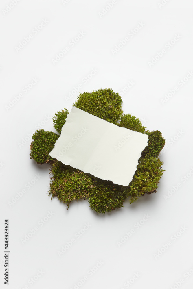Piece of paper with moss Stock Photo | Adobe Stock