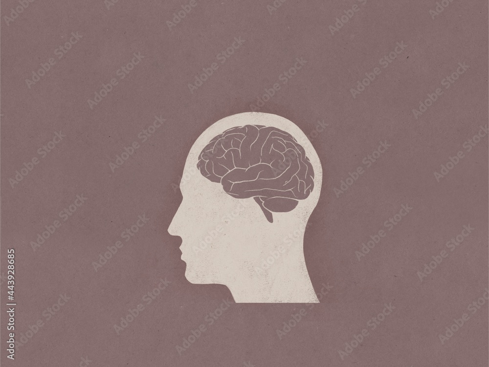 Human brain illustration Stock Photo | Adobe Stock