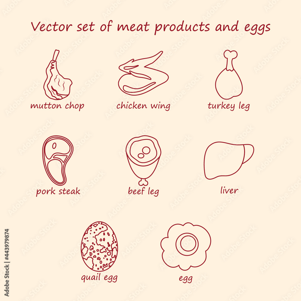 Vector set of meat products and eggs. Collection of line icons lamb ...