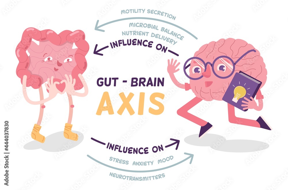 Gut - Brain AXIS landscape poster with characters Stock Vector | Adobe ...
