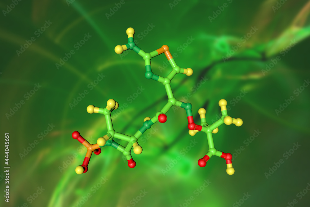 Molecular model of aztreonam or azactam, an antibiotic used to treat ...