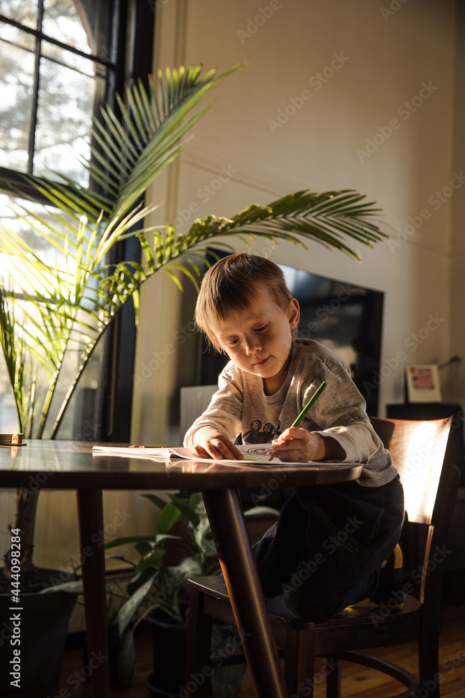 Little boy drawing during sunset Stock Photo | Adobe Stock