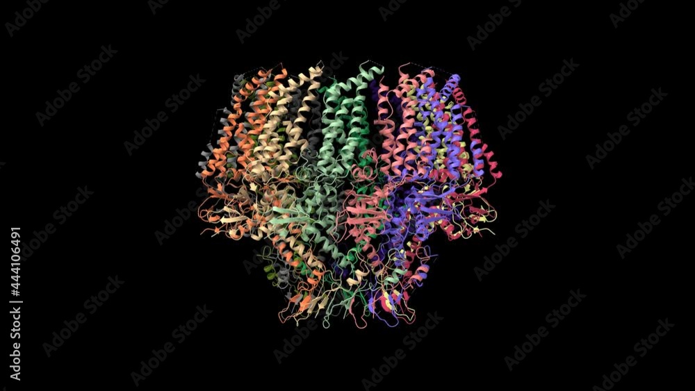 Atomic structure of the Epstein-Barr virus portal, structure I ...