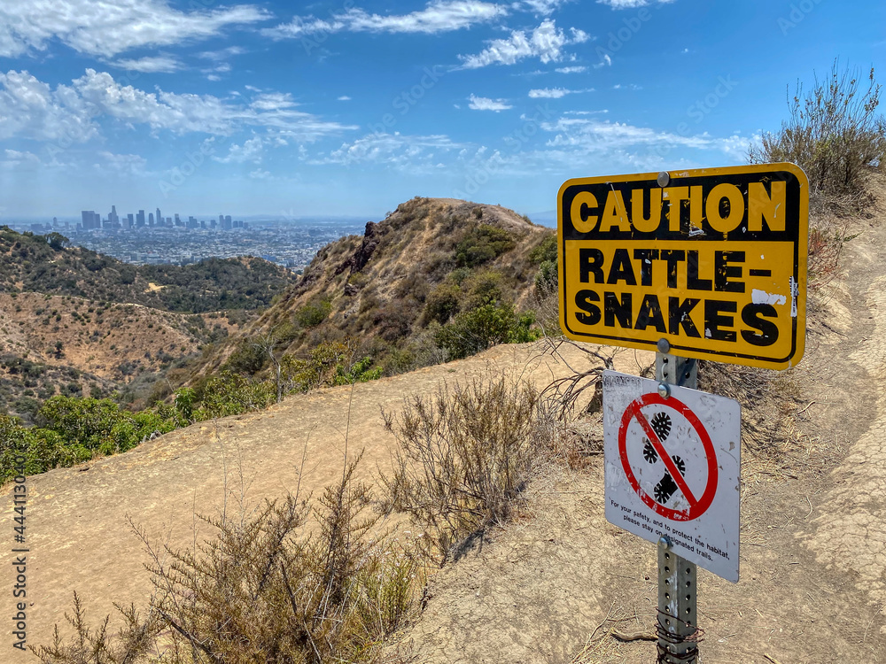 Caution Rattlesnake Sign in the Hollywood Hills with Los Angeles in the ...