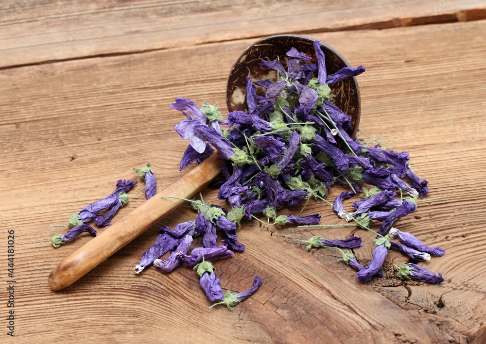 Flowers of dried Wild mallow, lat. Malva sylvestris. Medicinal herb has ...