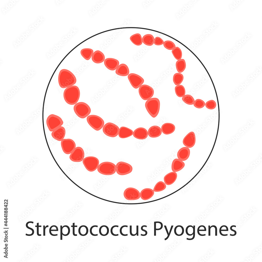 Streptococcus pyogenes. Cartoon illustration of streptococcus pyogenes ...