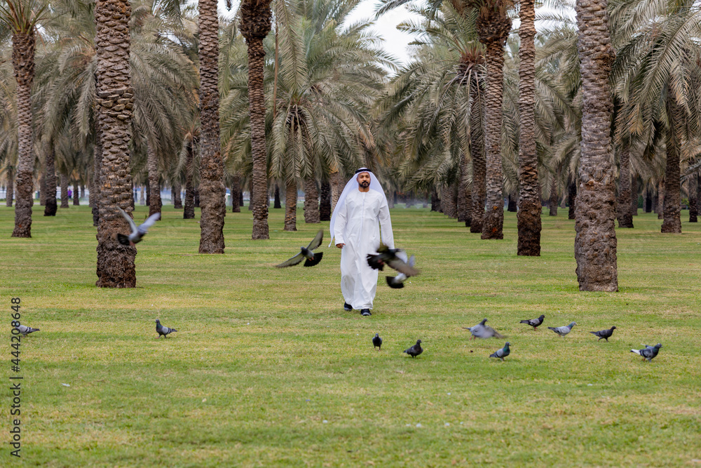 Middle Eastern Arab Emirati man on a morning walk at the park Stock ...