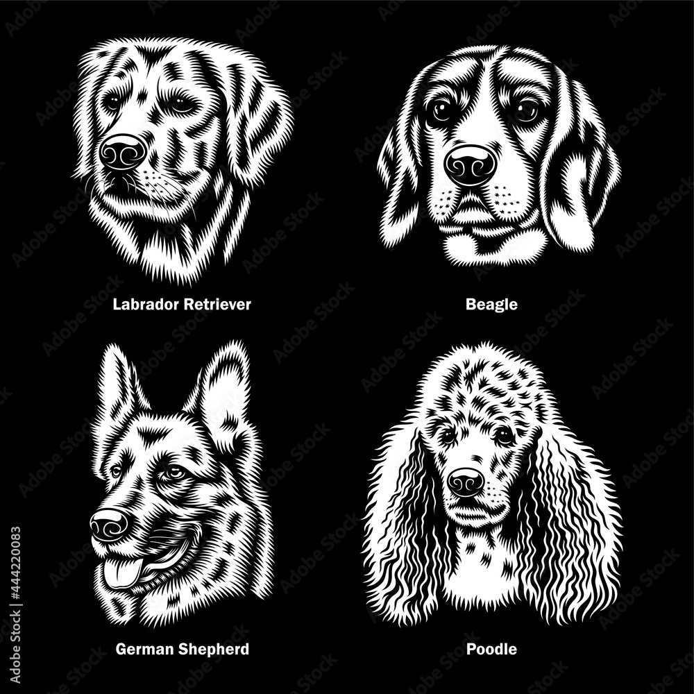 Dog Heads of different Breeds Vector Graphic On Black Stock Vector ...