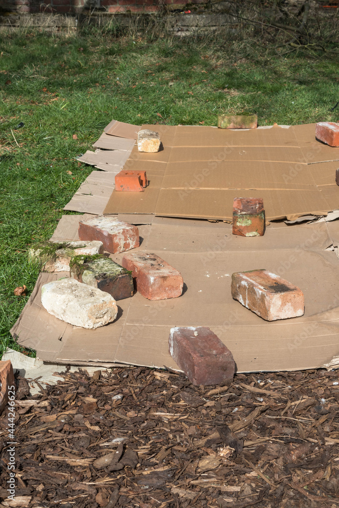 Cardboard placed on grass with old bricks on top with barck chippings ...