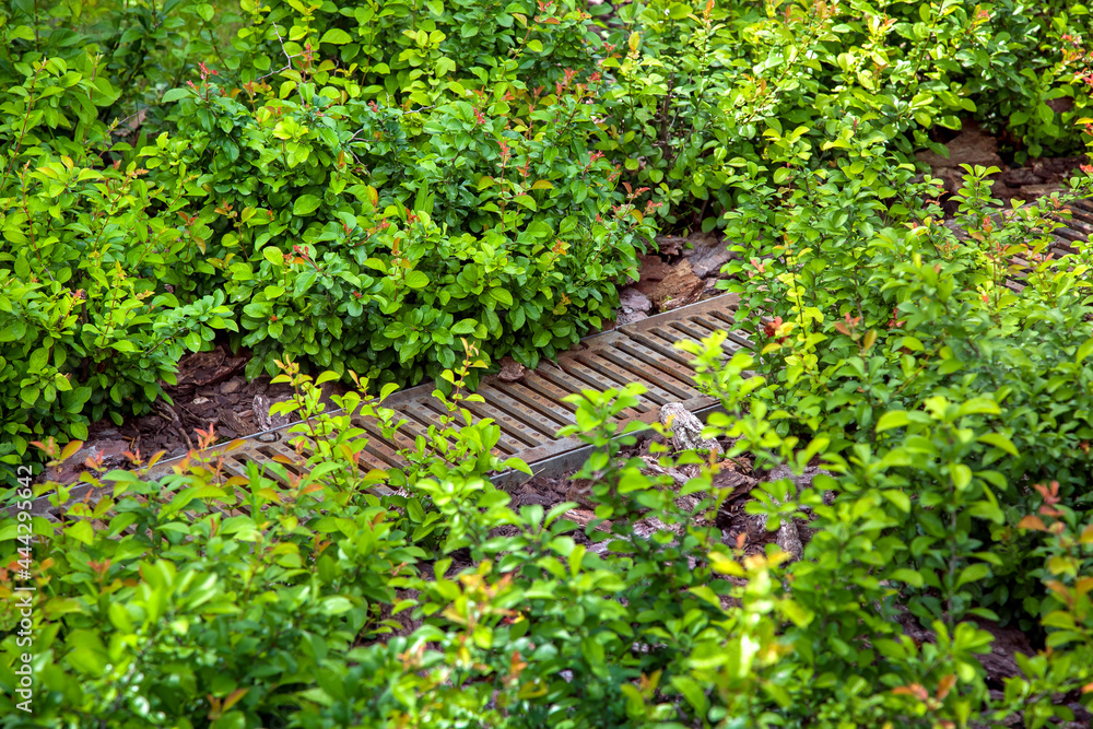 drainage grid in the landscape for the drainage of rainwater in the ...