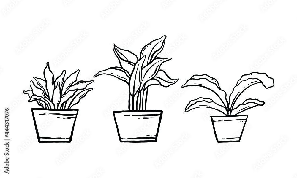 houseplant hand drawn illustration. vector line art of the potted home ...