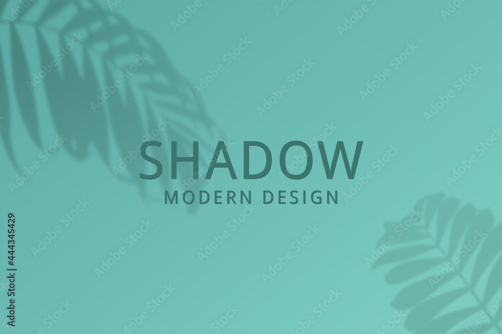 Shadow of leaves from window. Shadow palm leaf isolated on transparent ...