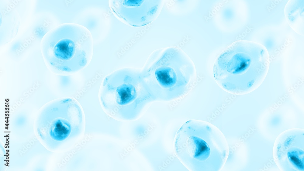 Cell division. Cell divides into two cells. Blue color. 3d illustration ...