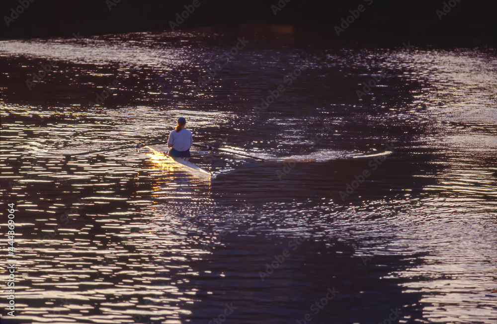 Back view of woman rowing in single skull on the water Stock-Foto ...