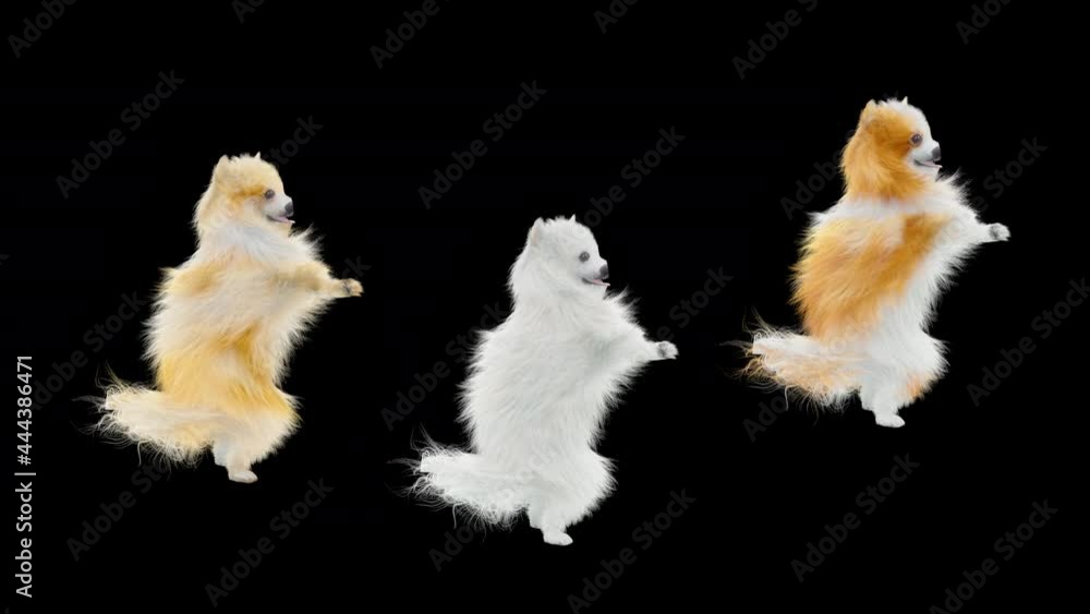Dogs Dancing CG fur. 3d rendering, animal realistic CGI VFX, Animation ...