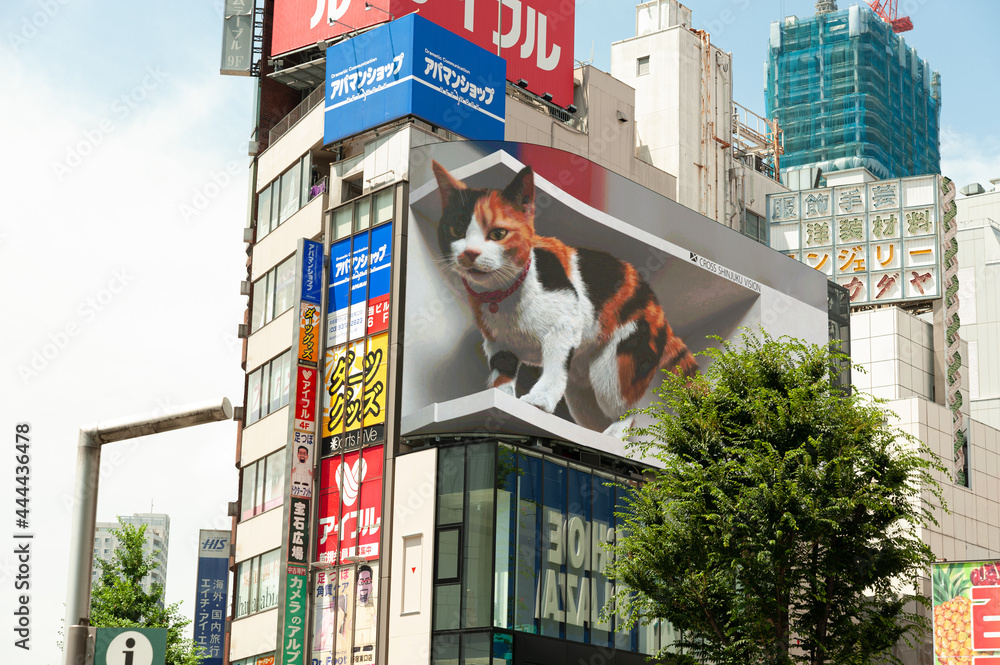 Shinjuku City, Tokyo, Japan - July 10, 2021: Giant cat in stunning ...