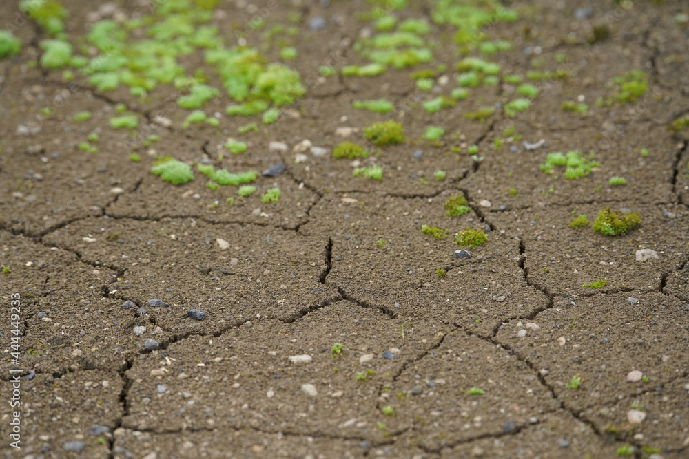 Erdboden mit Rissen aufgrund von Austrocknung, Schwinden, Klimawandel ...