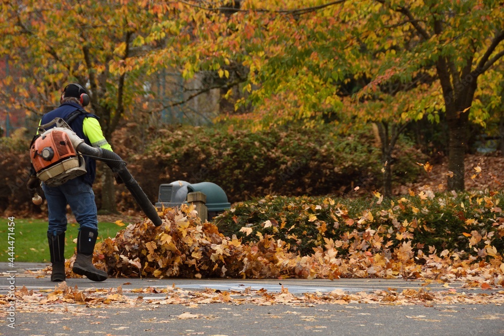 Man Blowing Leaves