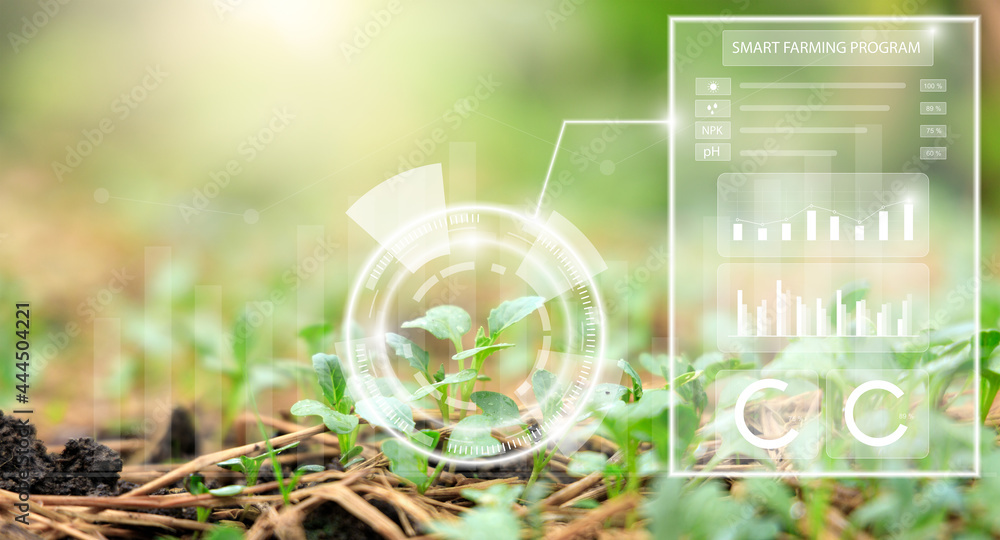 Statistics collection Analyze agricultural data with intelligent AI ...