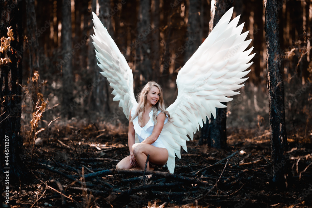 Engel Fotoshooting Stock Photo | Adobe Stock