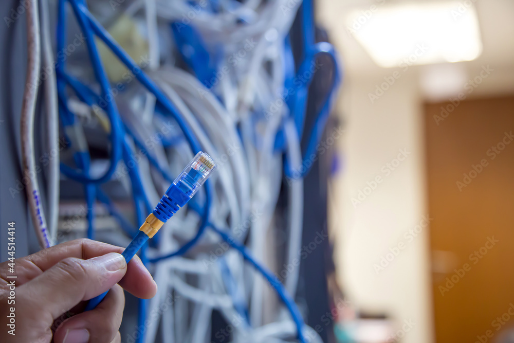 Close-up hand choose RJ45 head of UTP LAN network cable and Lots of ...