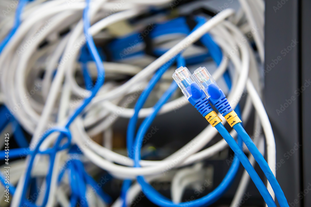 Close-up RJ45 head of UTP LAN network cable and Lots of Ethernet cables ...