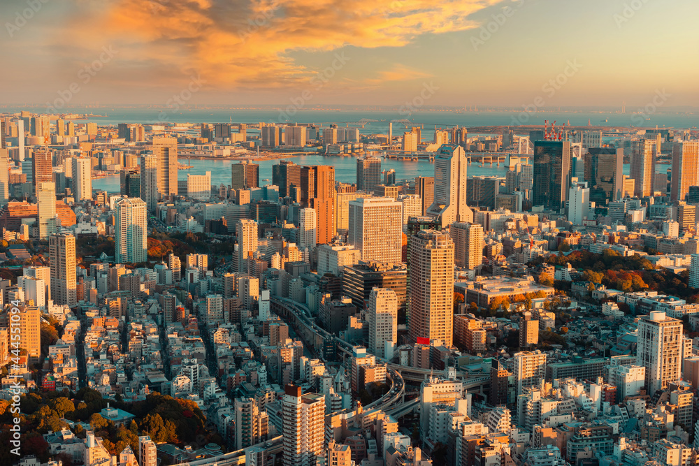 Tokyo at sunset. Evening in Japan. Japanese capital from a height. Life ...