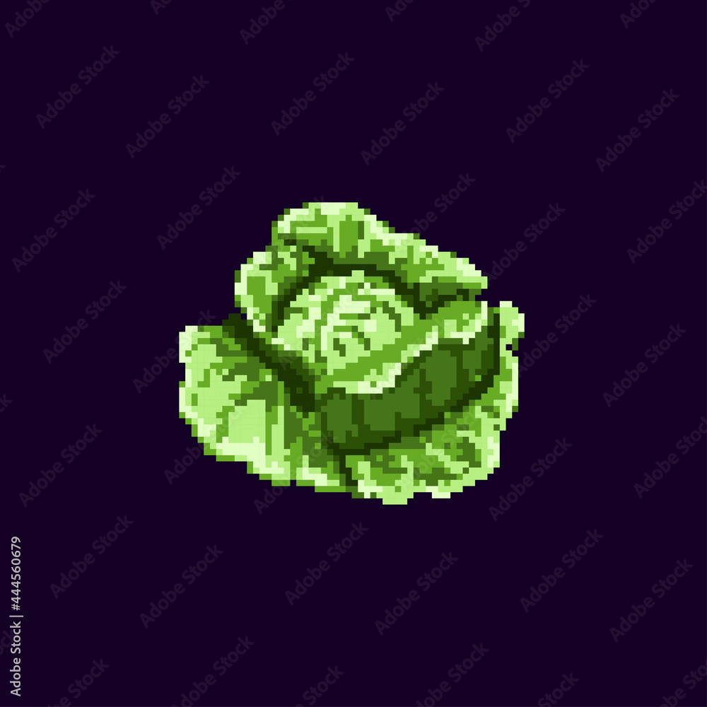 Pixel-art cabbage. Whole cabbage on dark background. Stock Vector ...