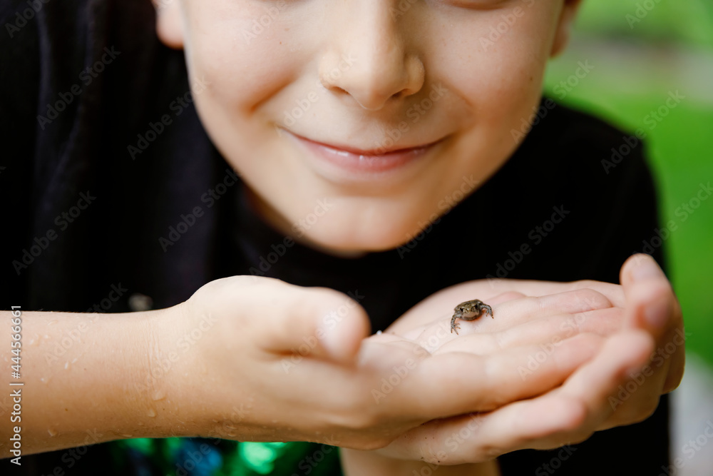 Beautiful school preteen kid boy holding small wild frog. Happy curious ...