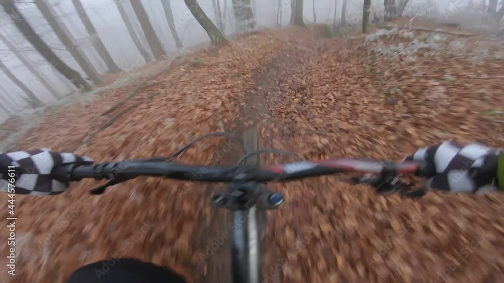 POV Gloved mountain biker riding a bike downhill a narrow bumpy forest ...