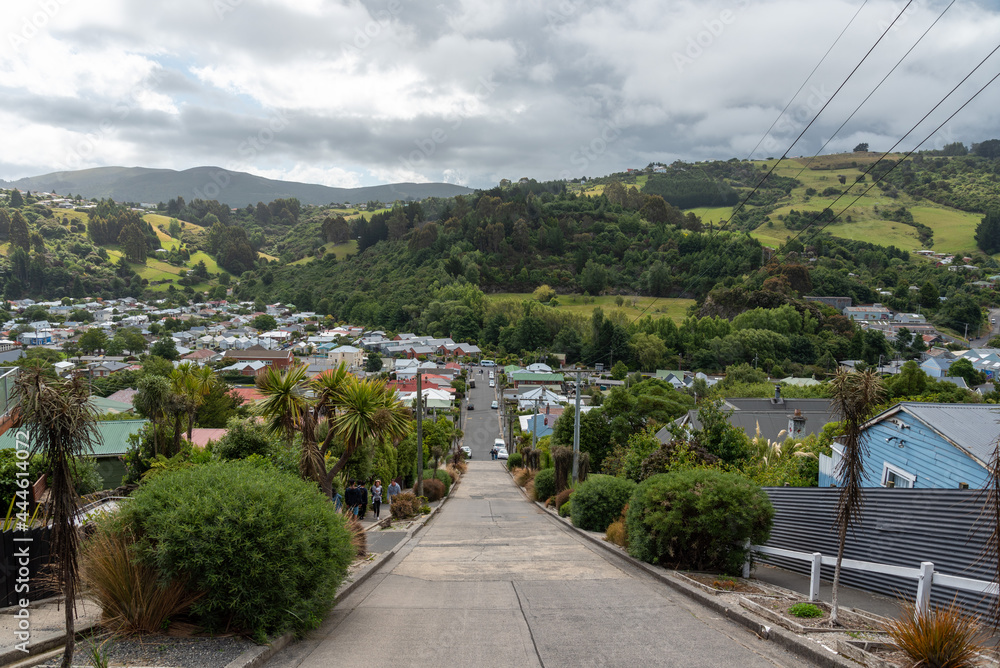 Famous Baldwin street in Dunedin, the steepest street in the world, New ...