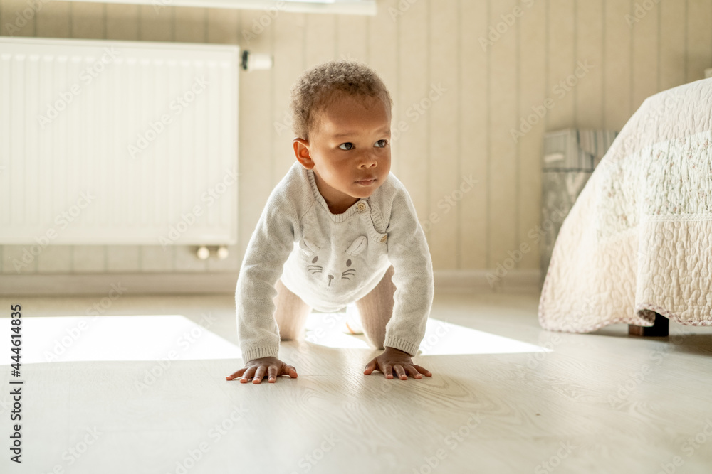 Cute persistent african american baby boy standing on his knees and ...