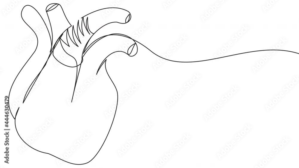 Linear animation of a human heart on a white background. Stock 4k video ...